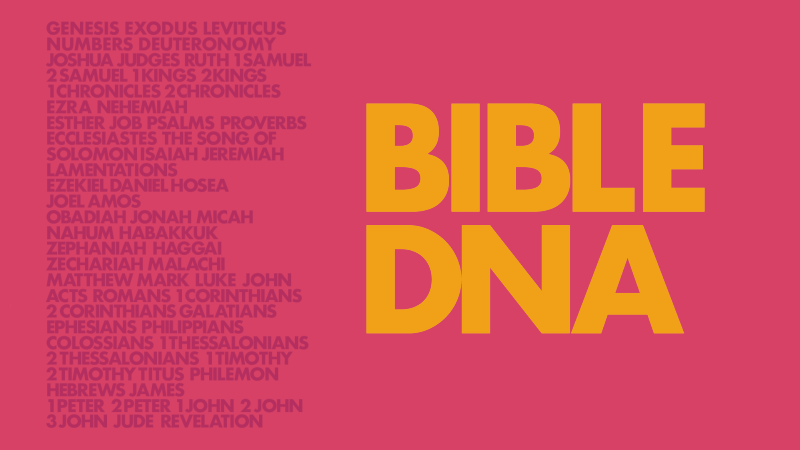 Bible DNA - Woodland Hills Church
